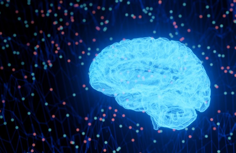 Pain Neuroscience Education - Aligned Therapy Partners